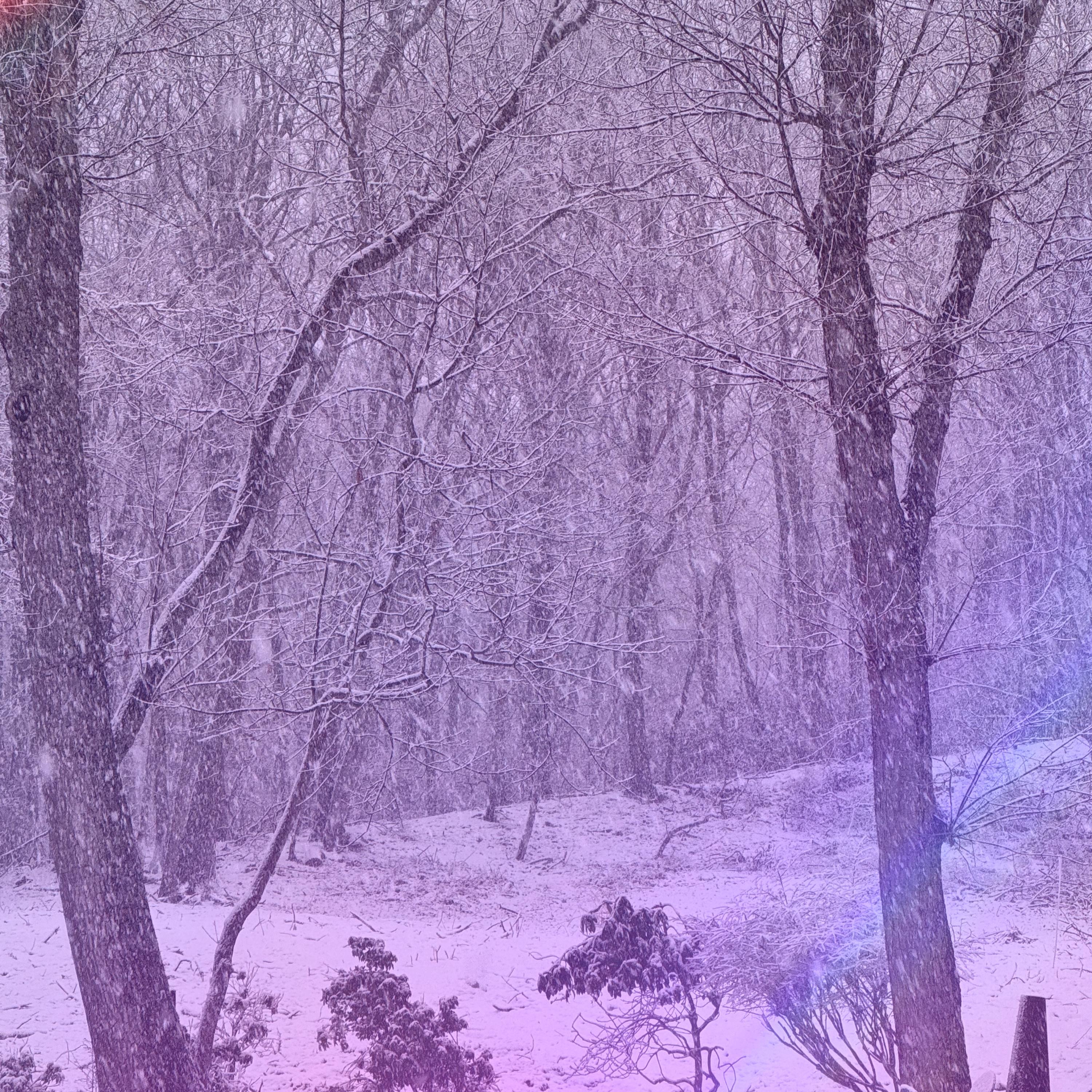 Así Es La Vida - anWell