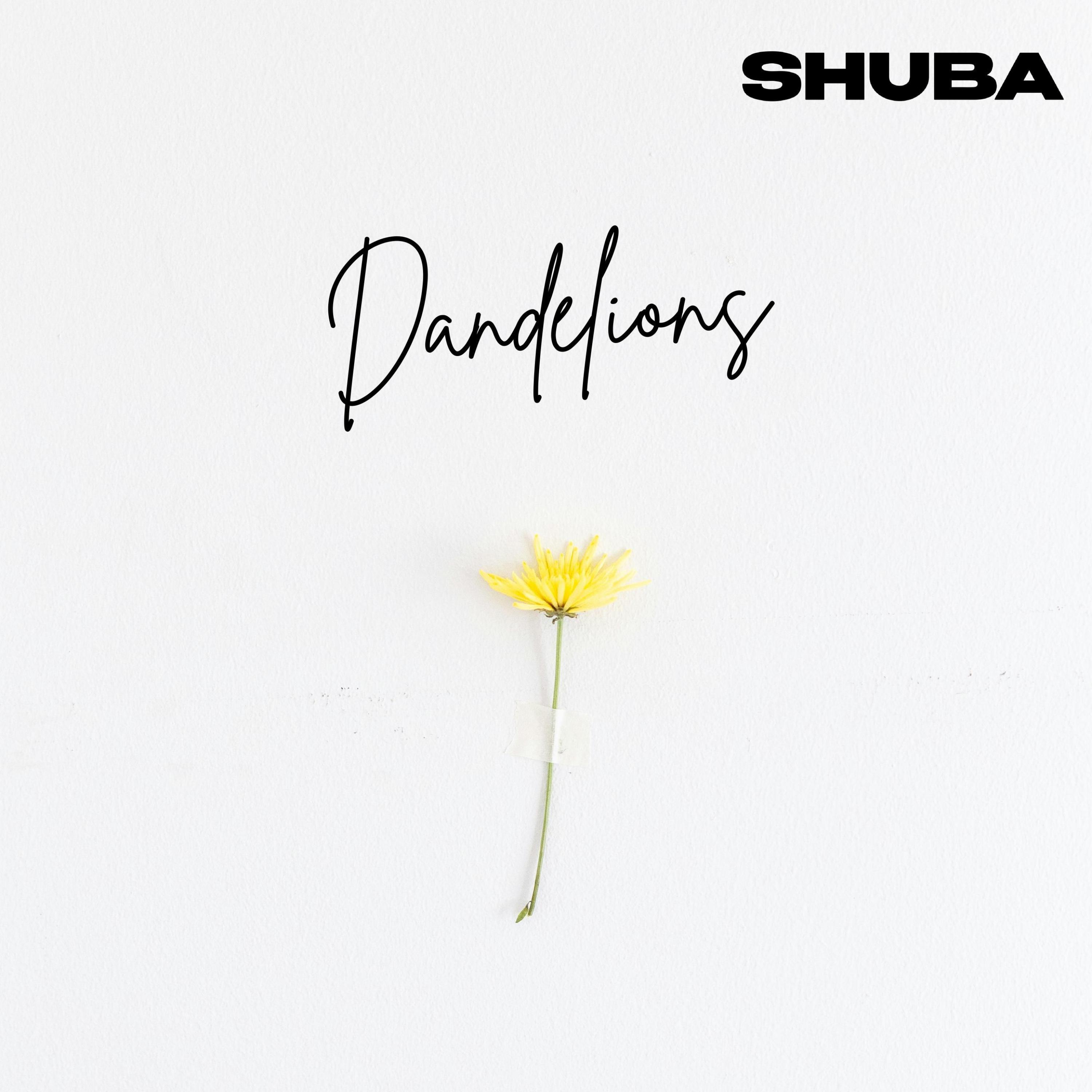 Dandelions - Shuba