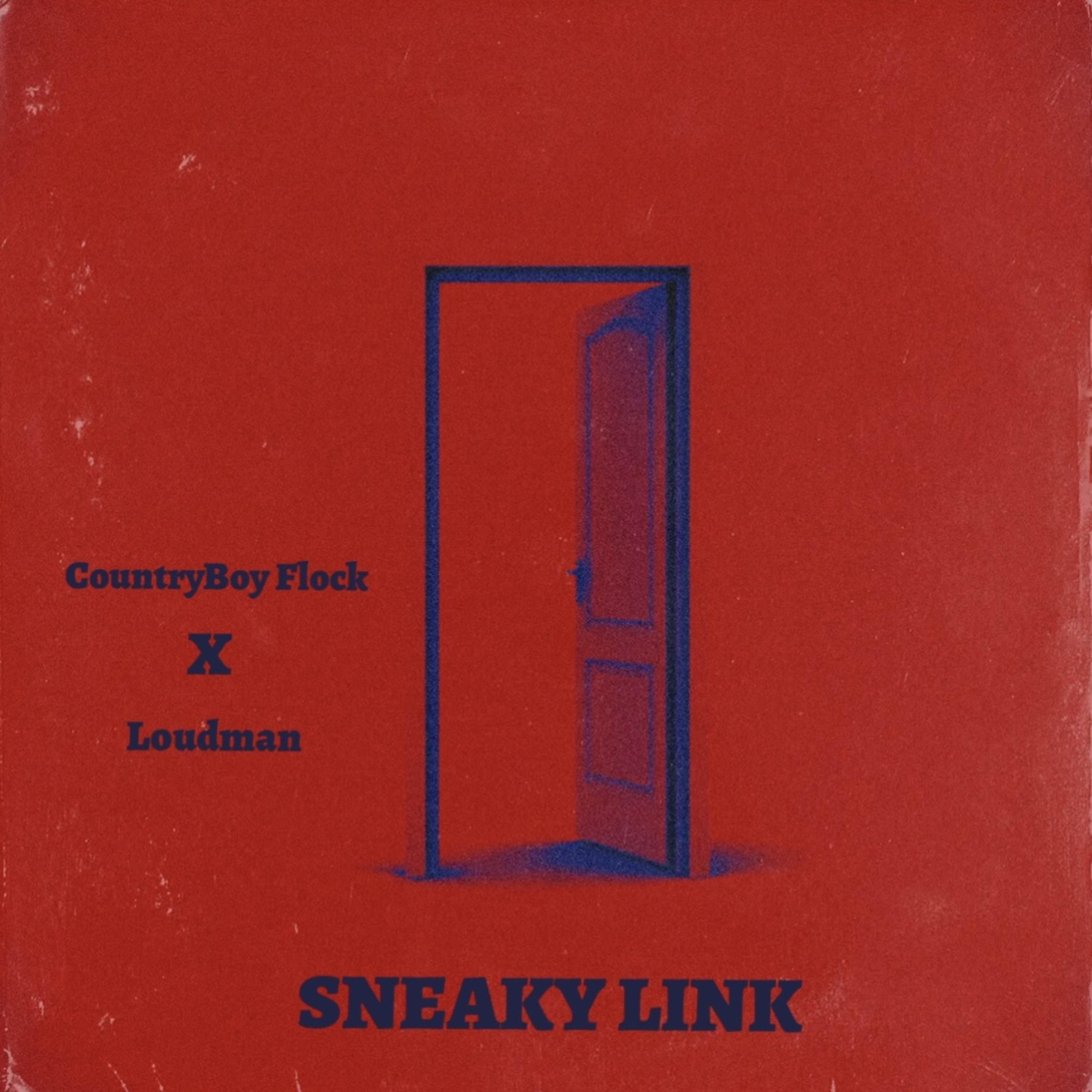 Sneaky Link by CountryBoy FLocK | UnitedMasters