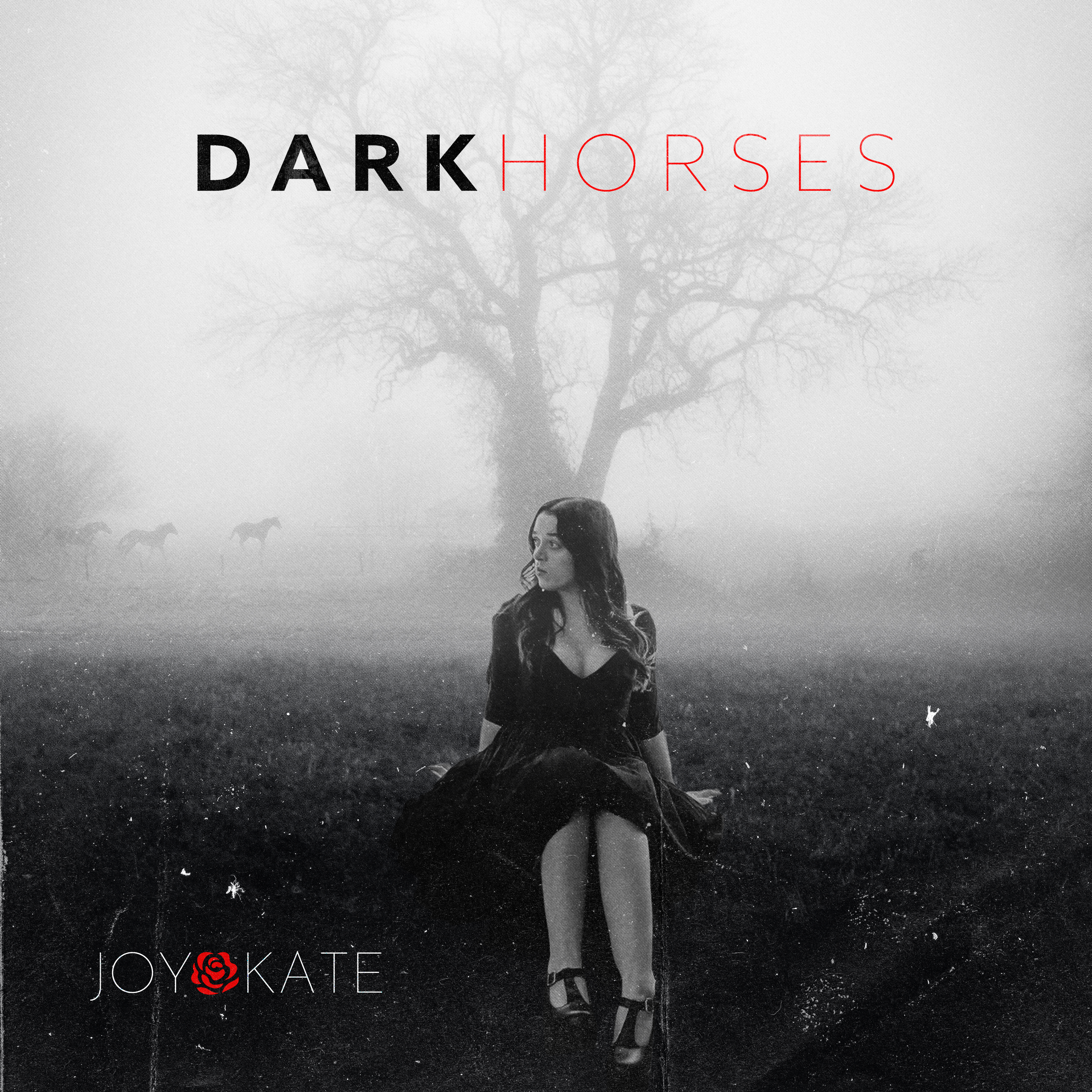 Dark Horses - Joy Kate