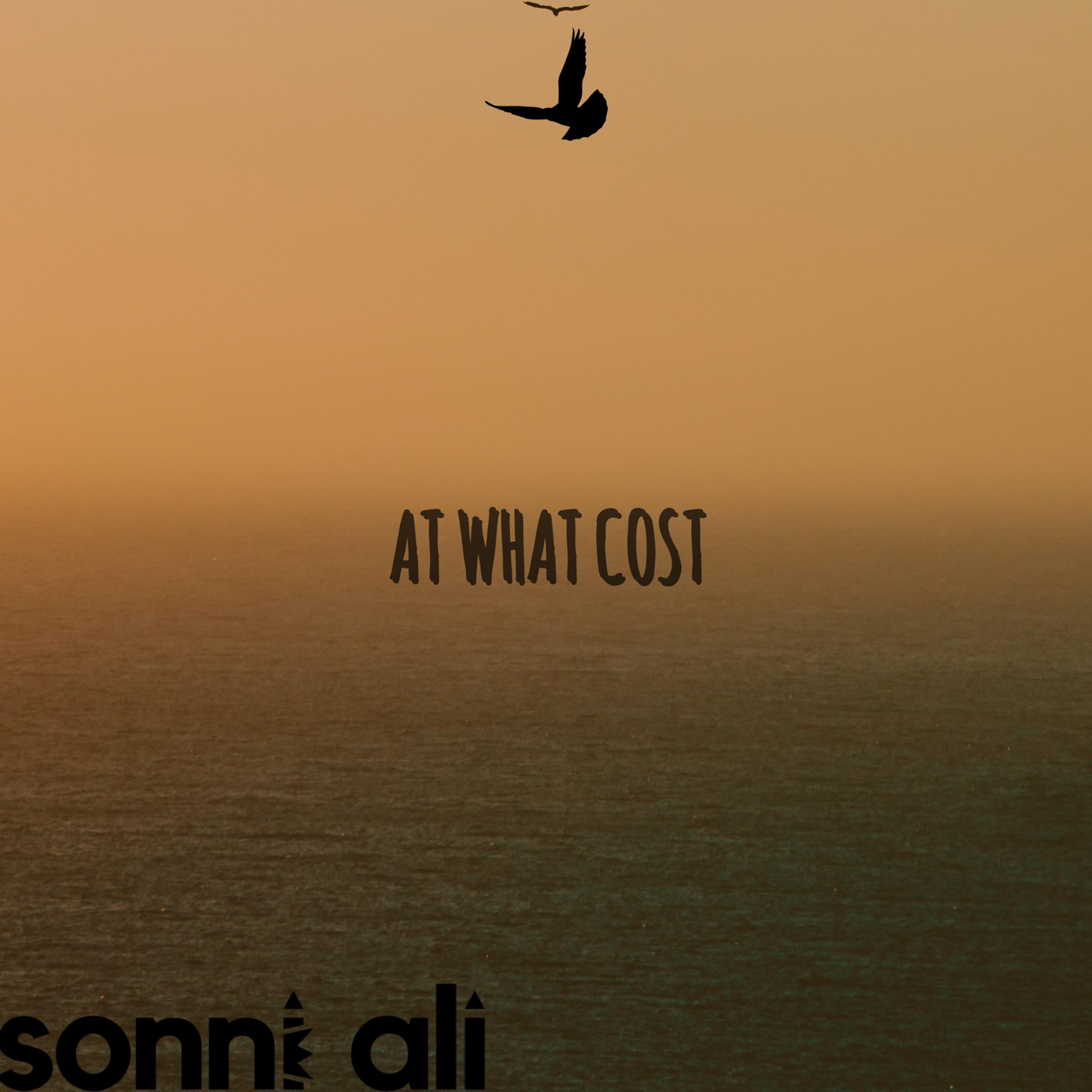 AT WHAT COST - Sonni Ali