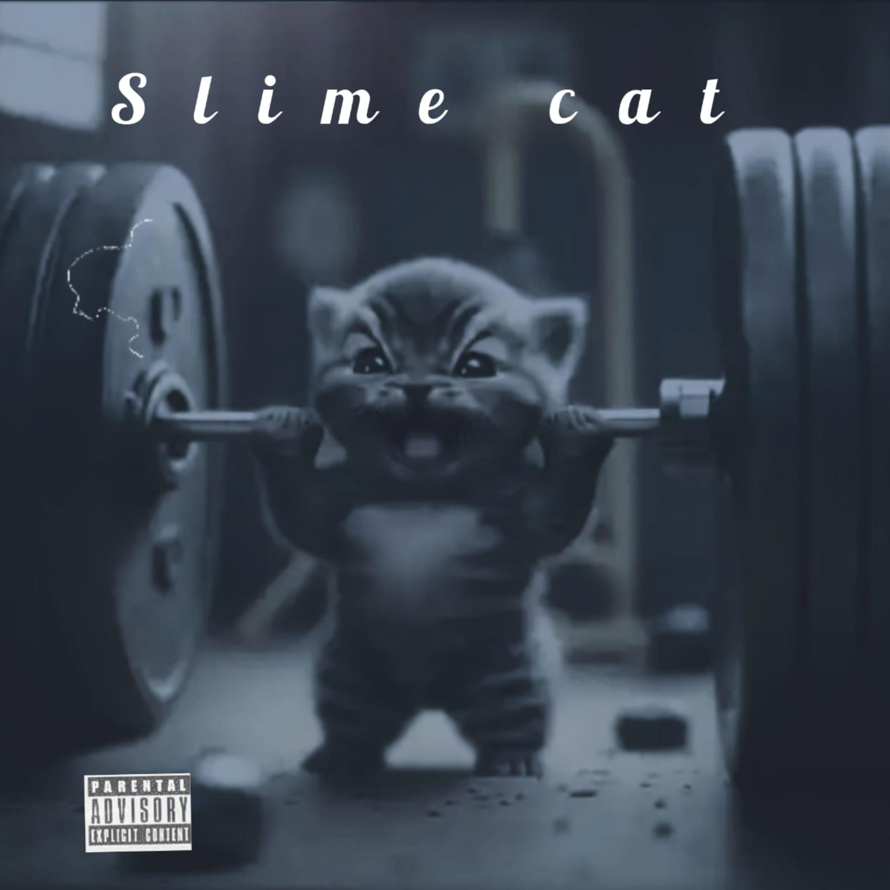 All Night - Slime Cat