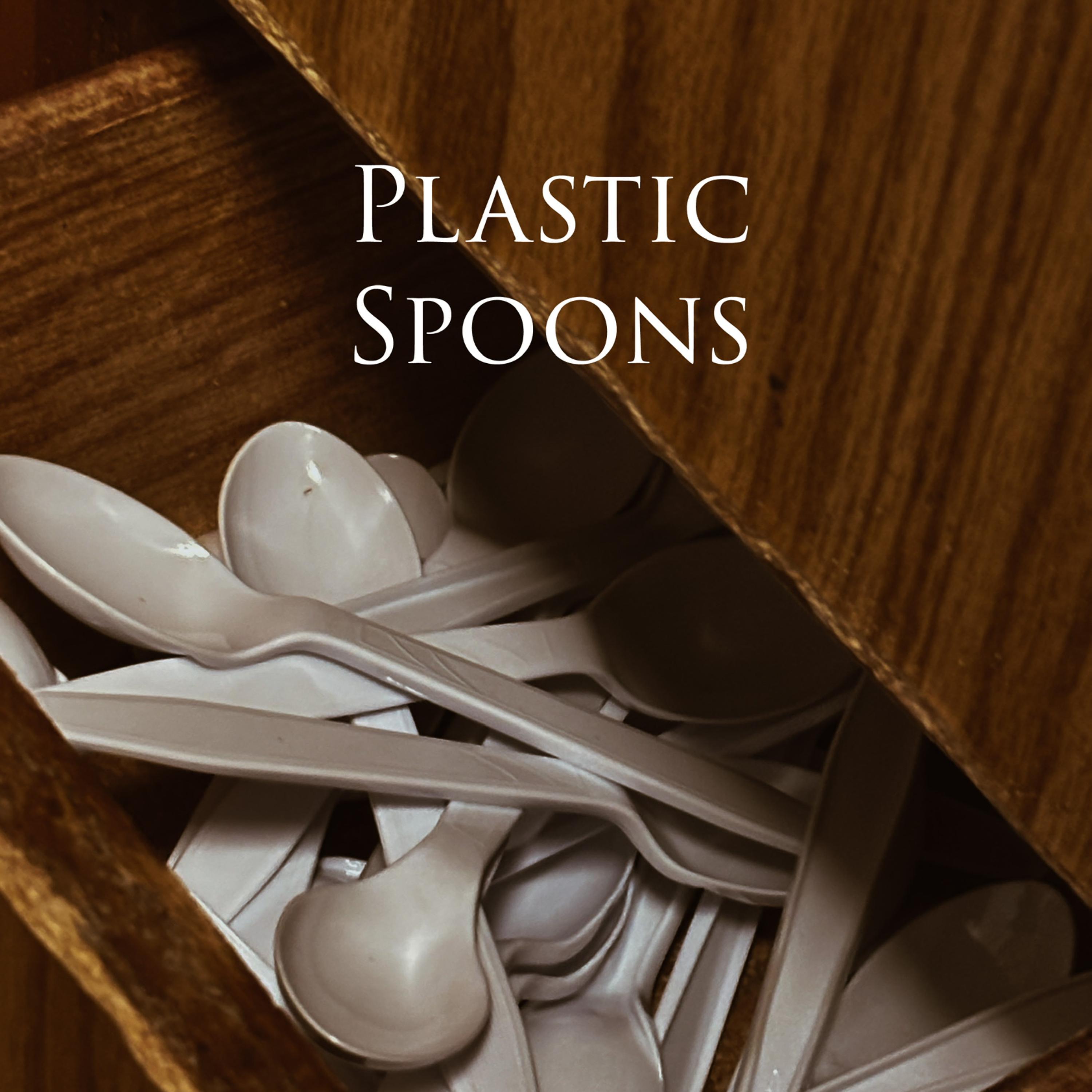 Plastic Spoons - Goodbye Expectations