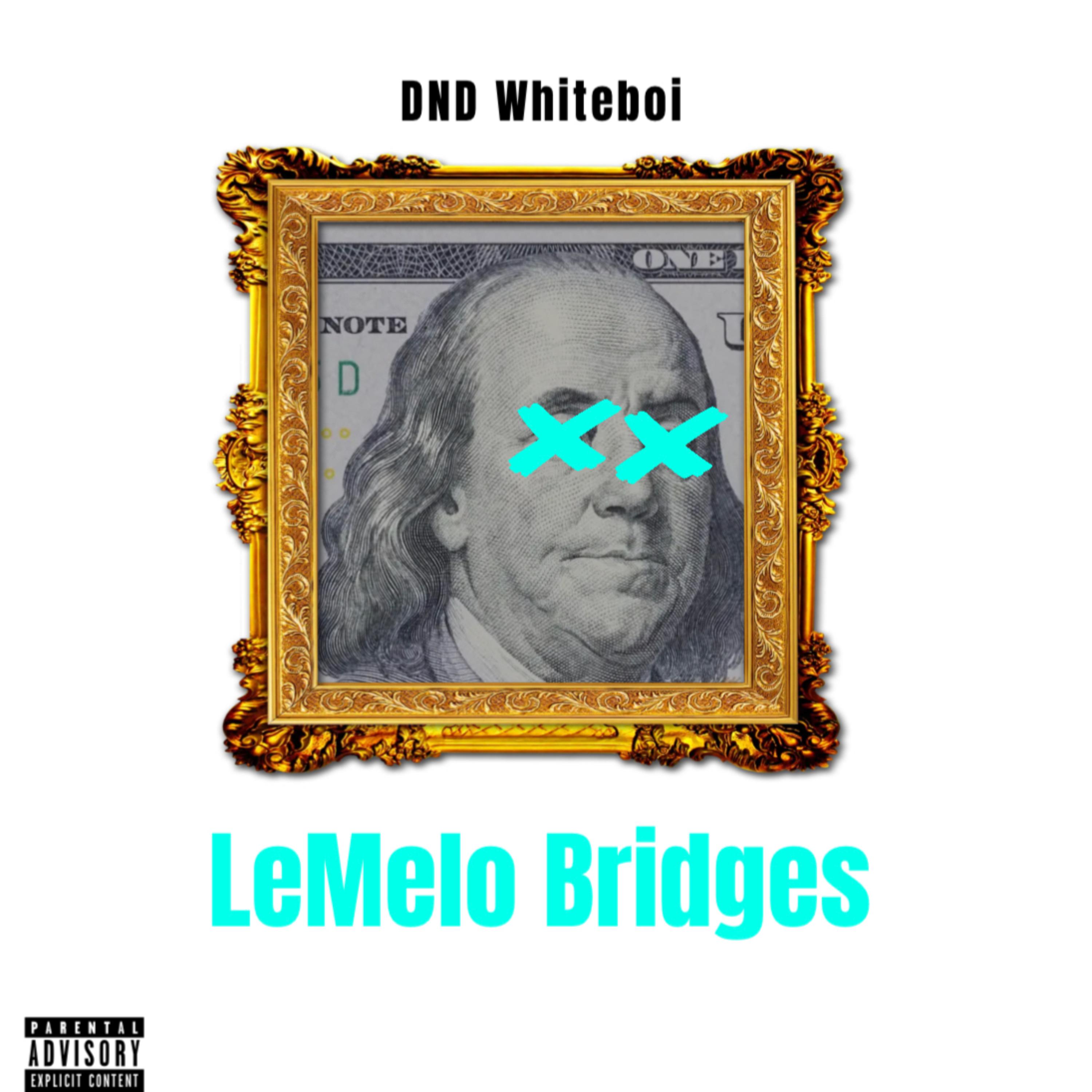 LeMelo Bridges - DND Whiteboi