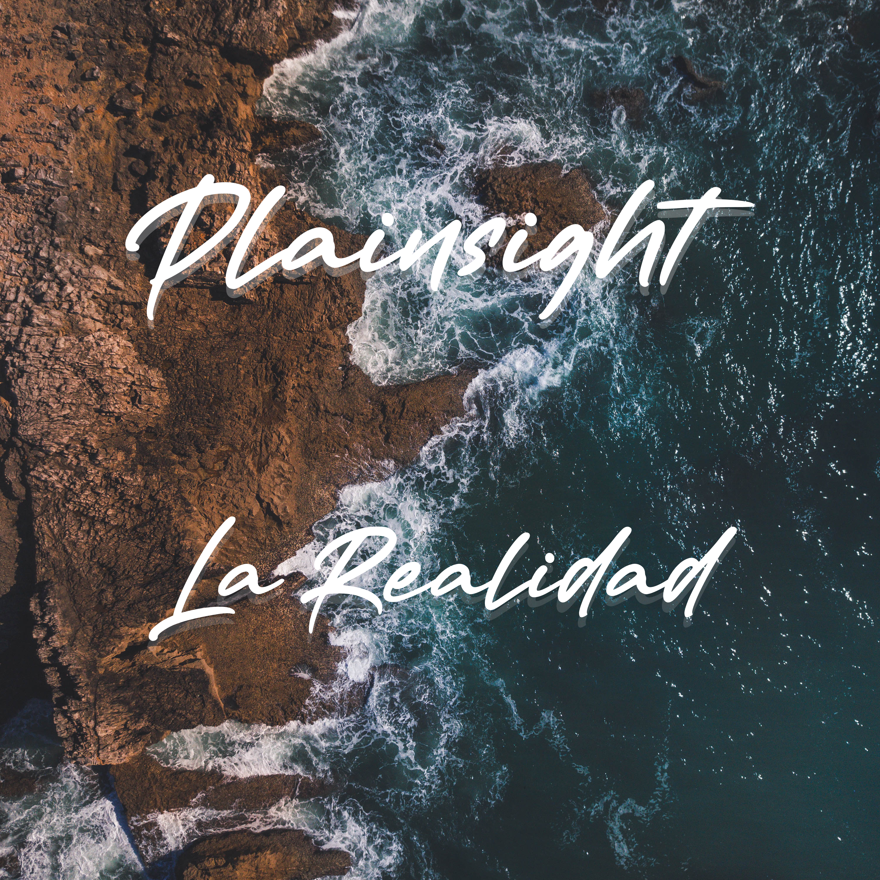 La Realidad - PlainSight