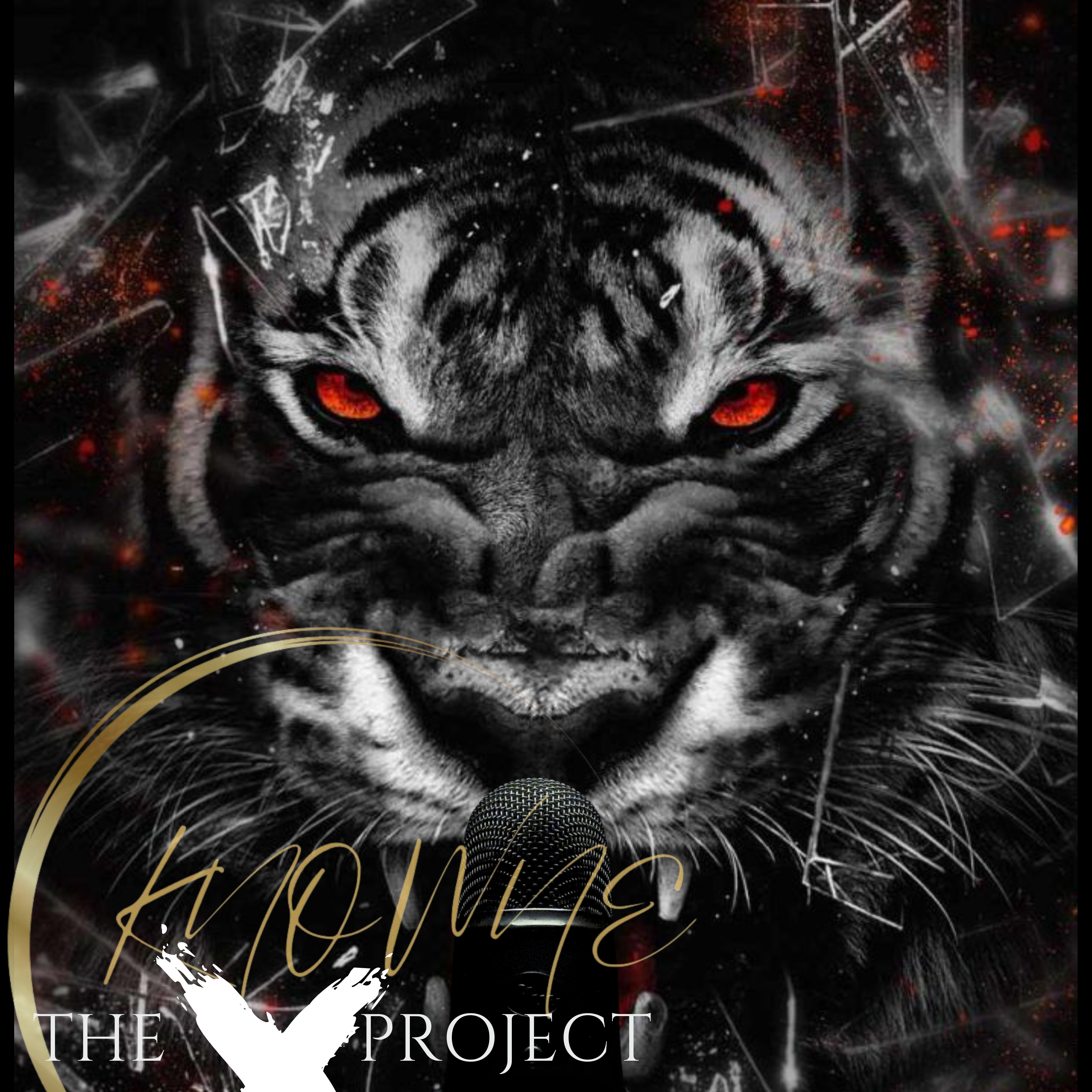 THE X PROJECT - KNOWME