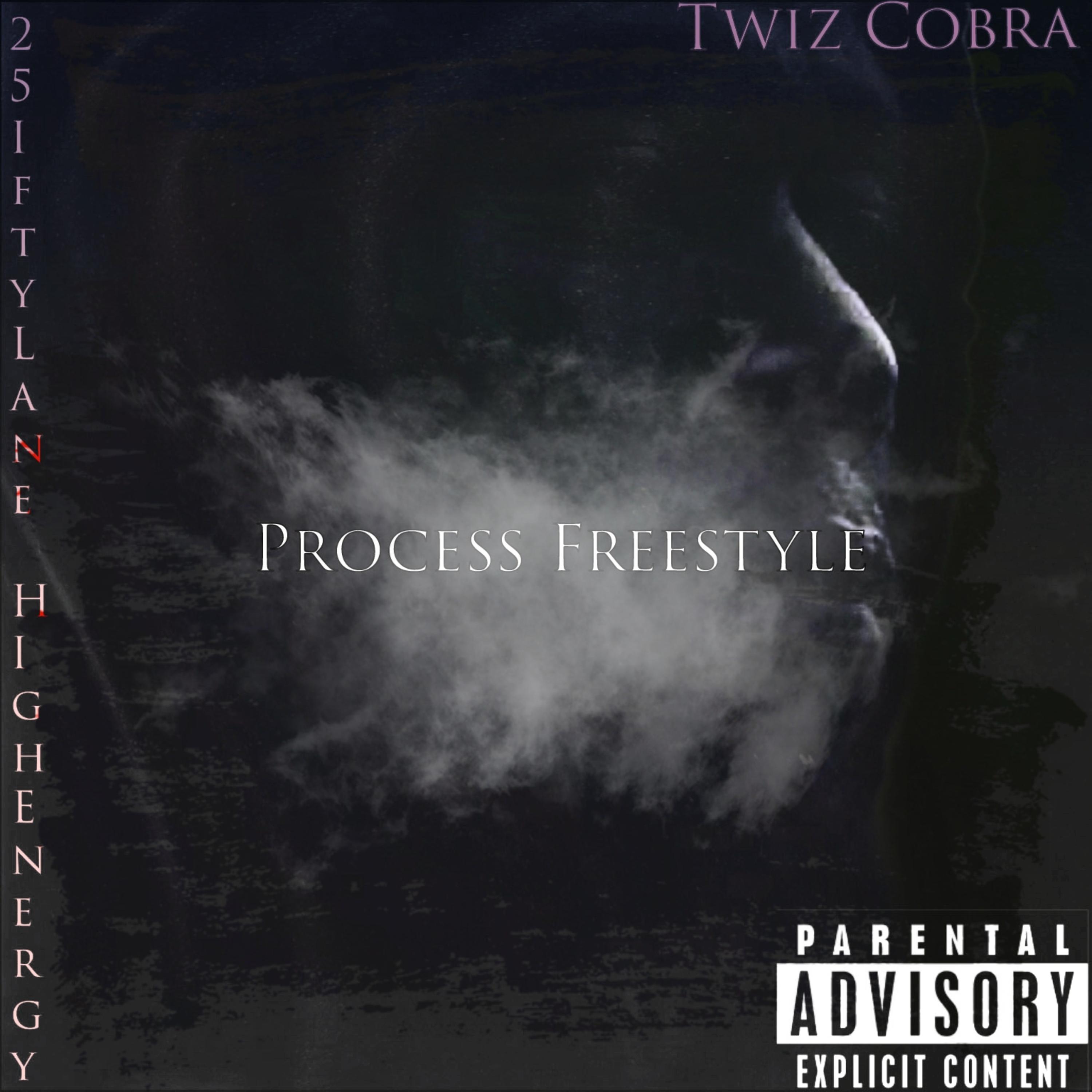 Process Freestyle - Twiz Cobra
