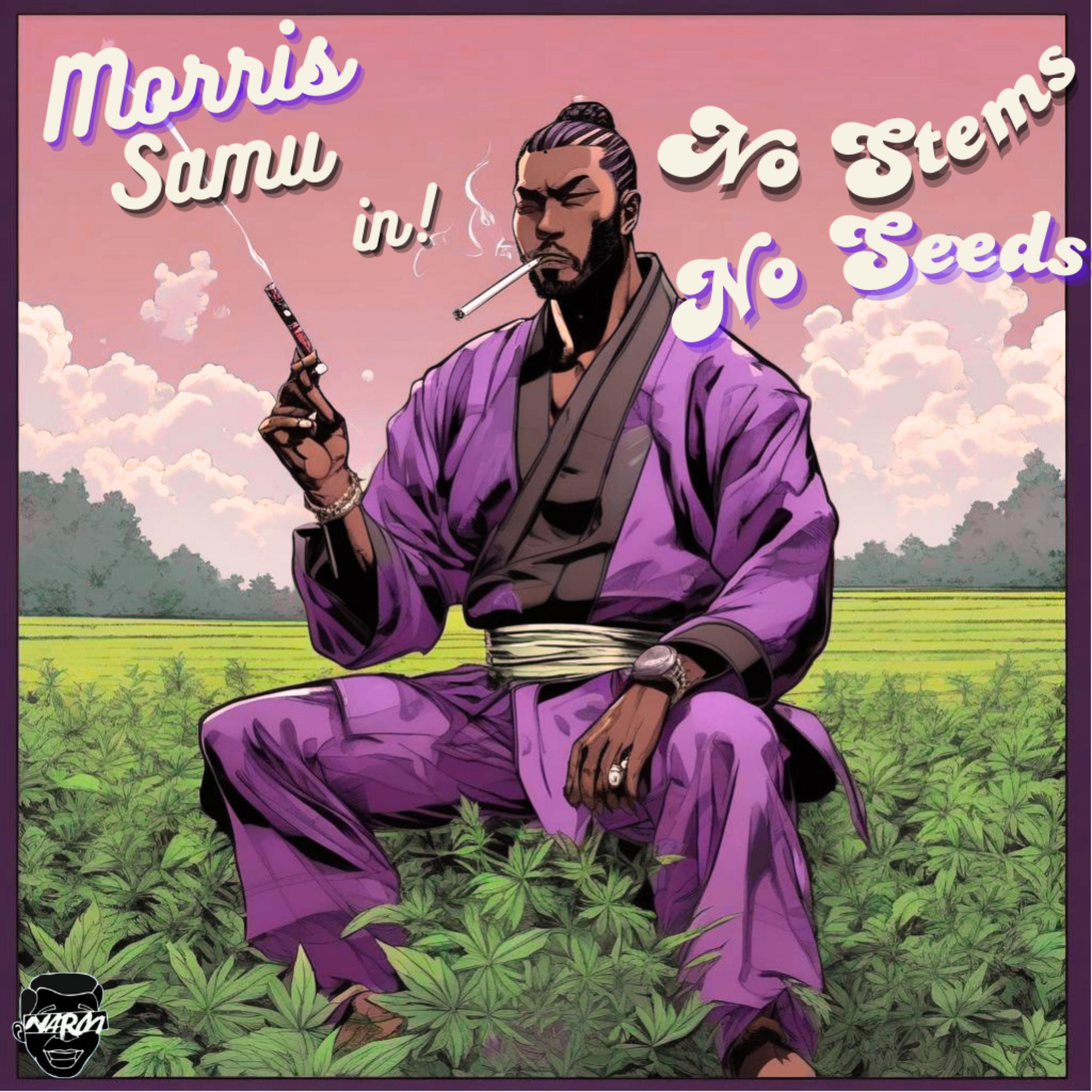 No Stems No Seeds - Morris Samu