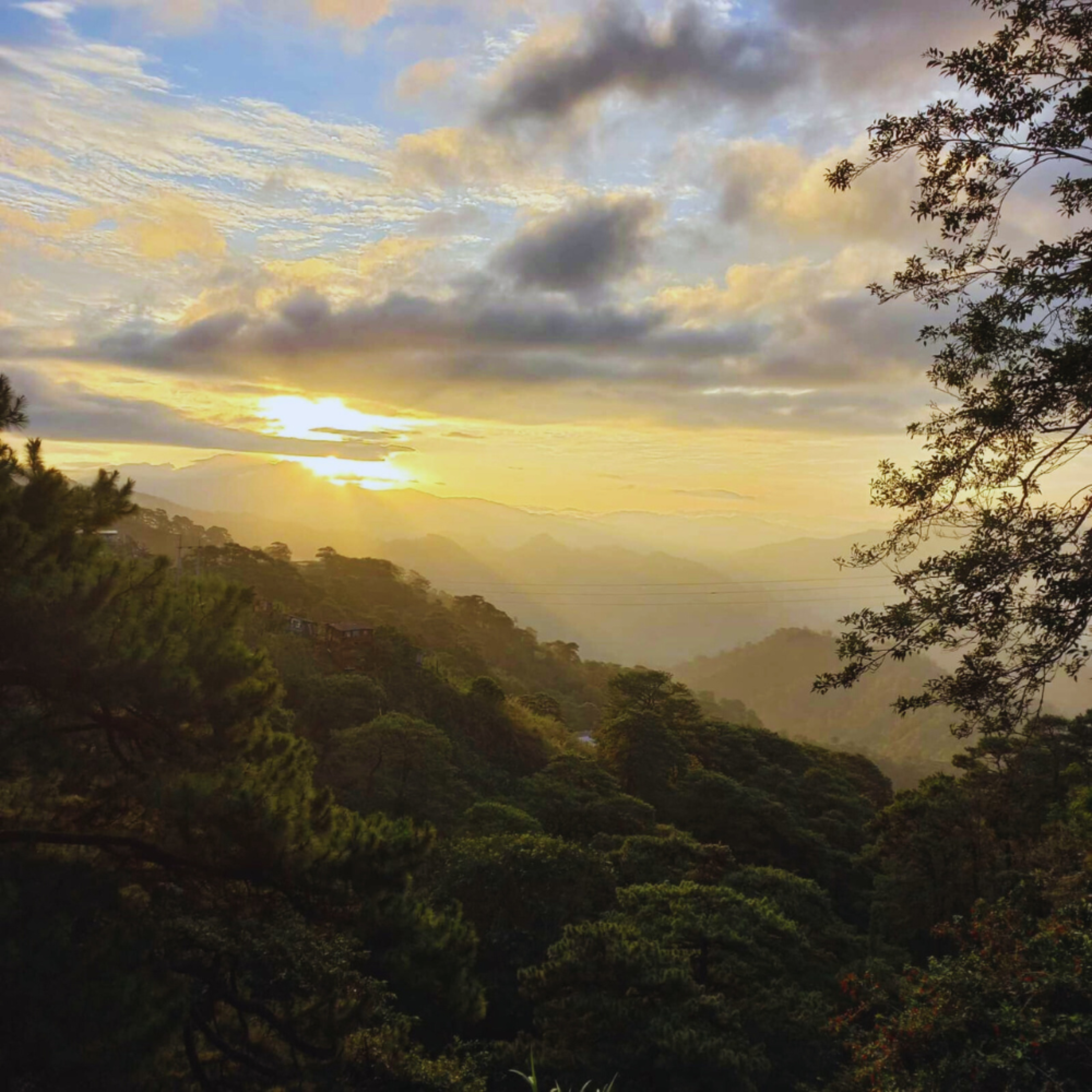 Sugar and Pancakes - Jeff Velasco