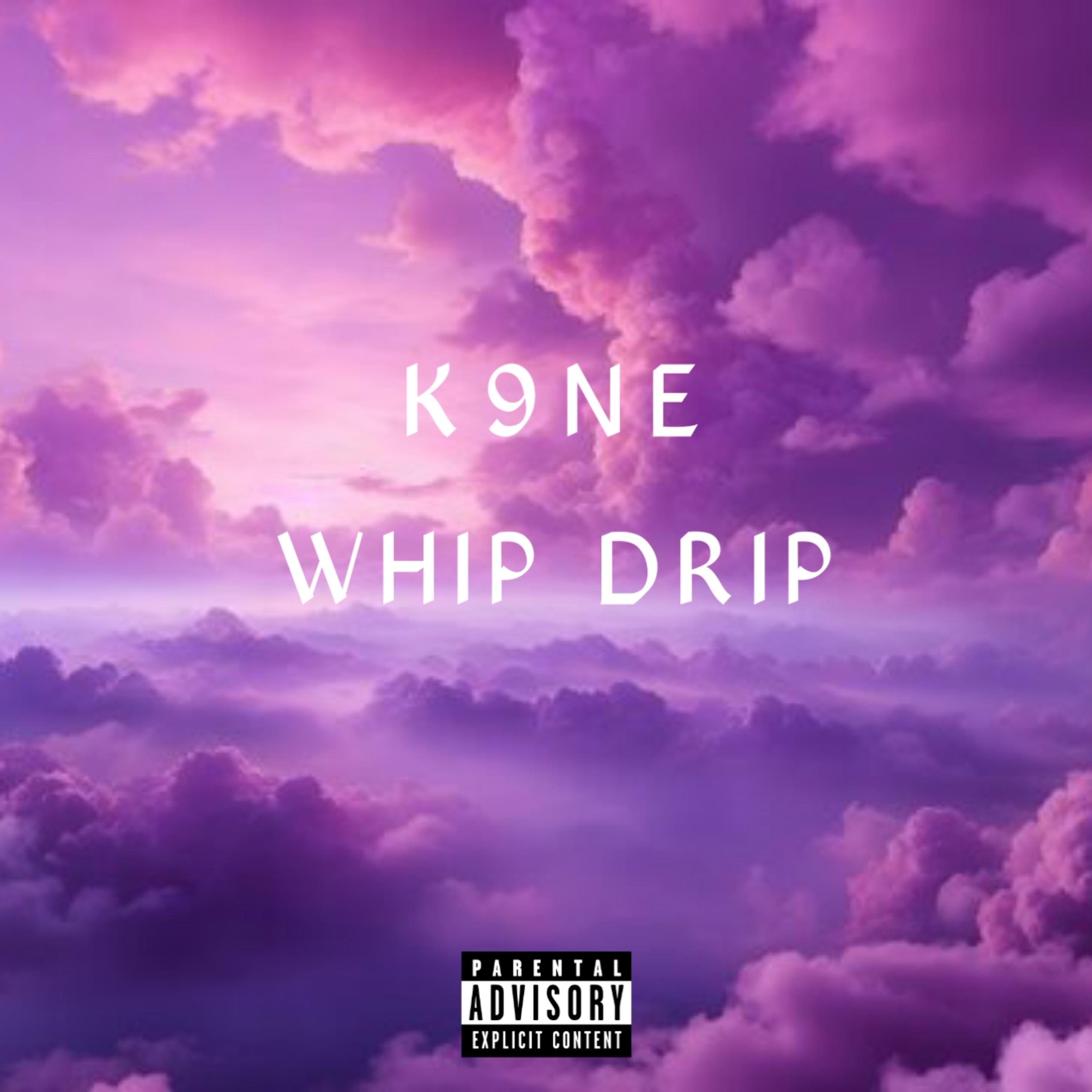 Whip Drip - K9ne Tha kidd