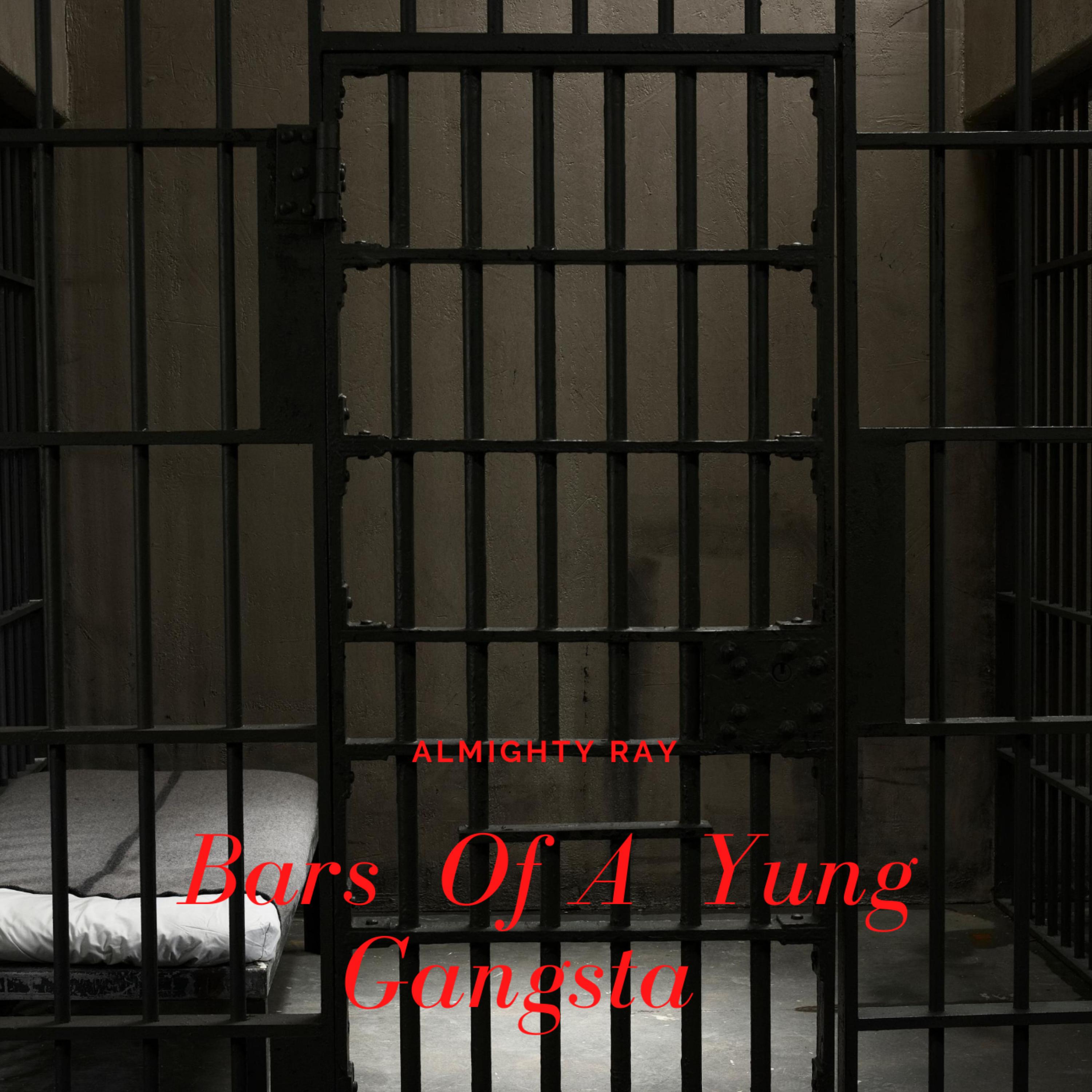 Bars Of A Yung Gangsta - Almighty Ray