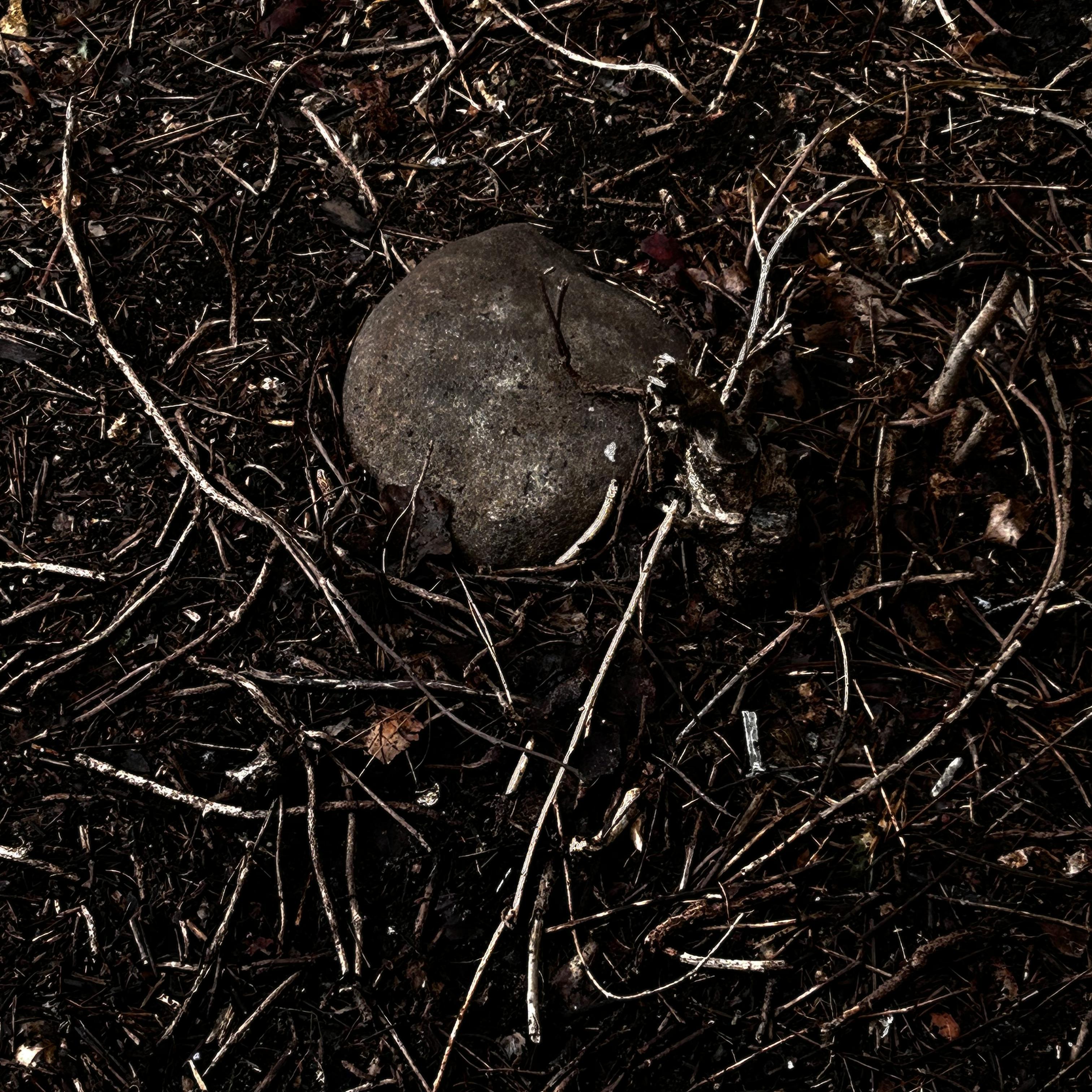 The Moon Project. by luckgatti | UnitedMasters