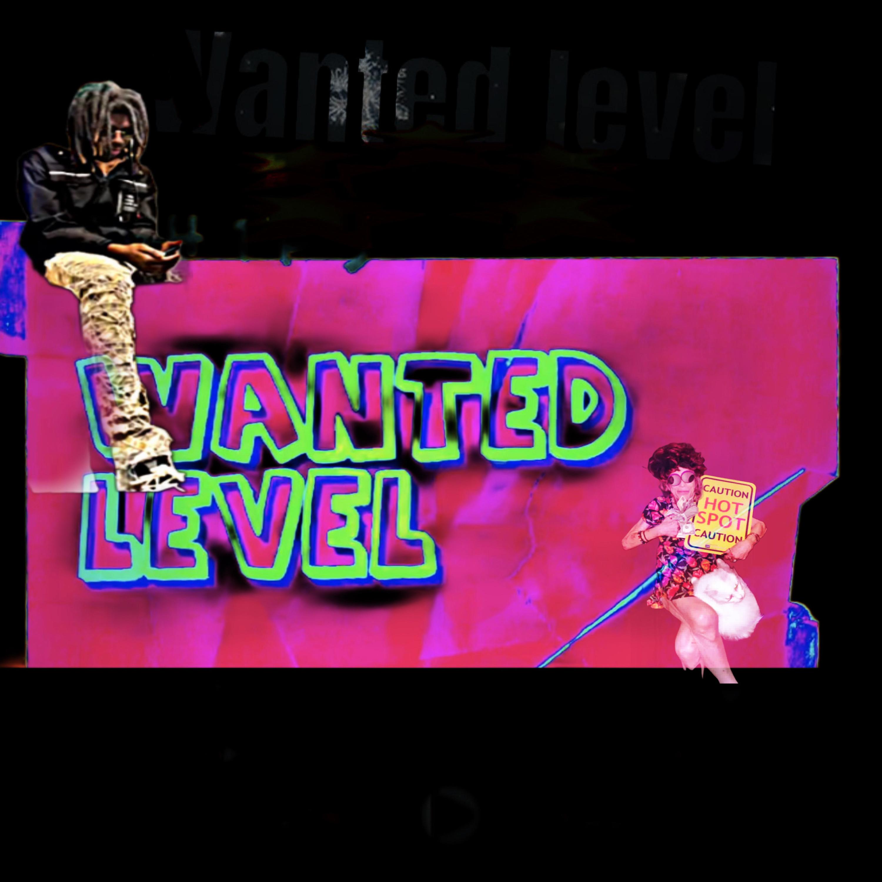 Wanted Level - Fenkell slim