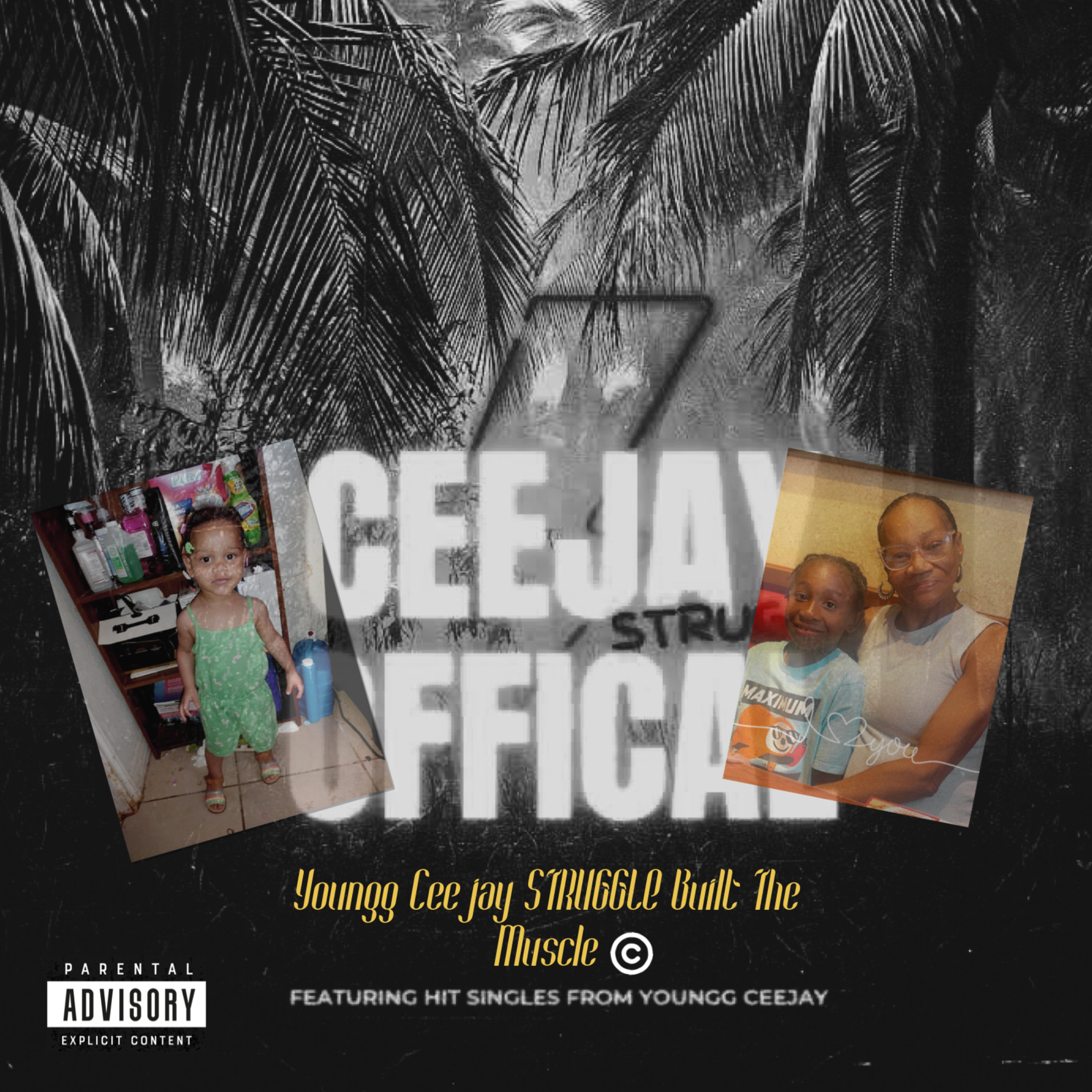 OFFICIAL STRUGGLE SUCCESS 2 (Masterd) - Youngg Ceejay