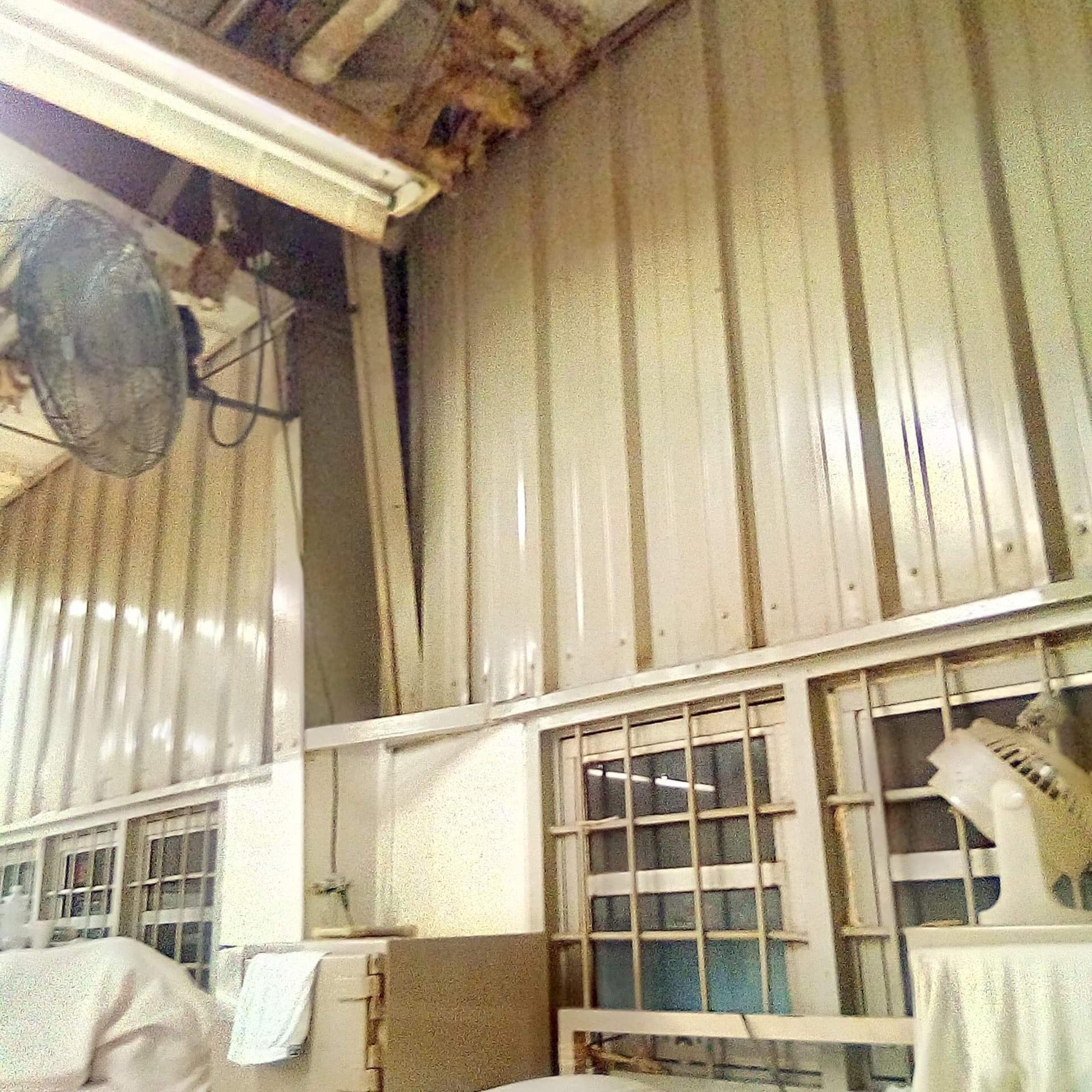 FREE DA GANG - CHEKK