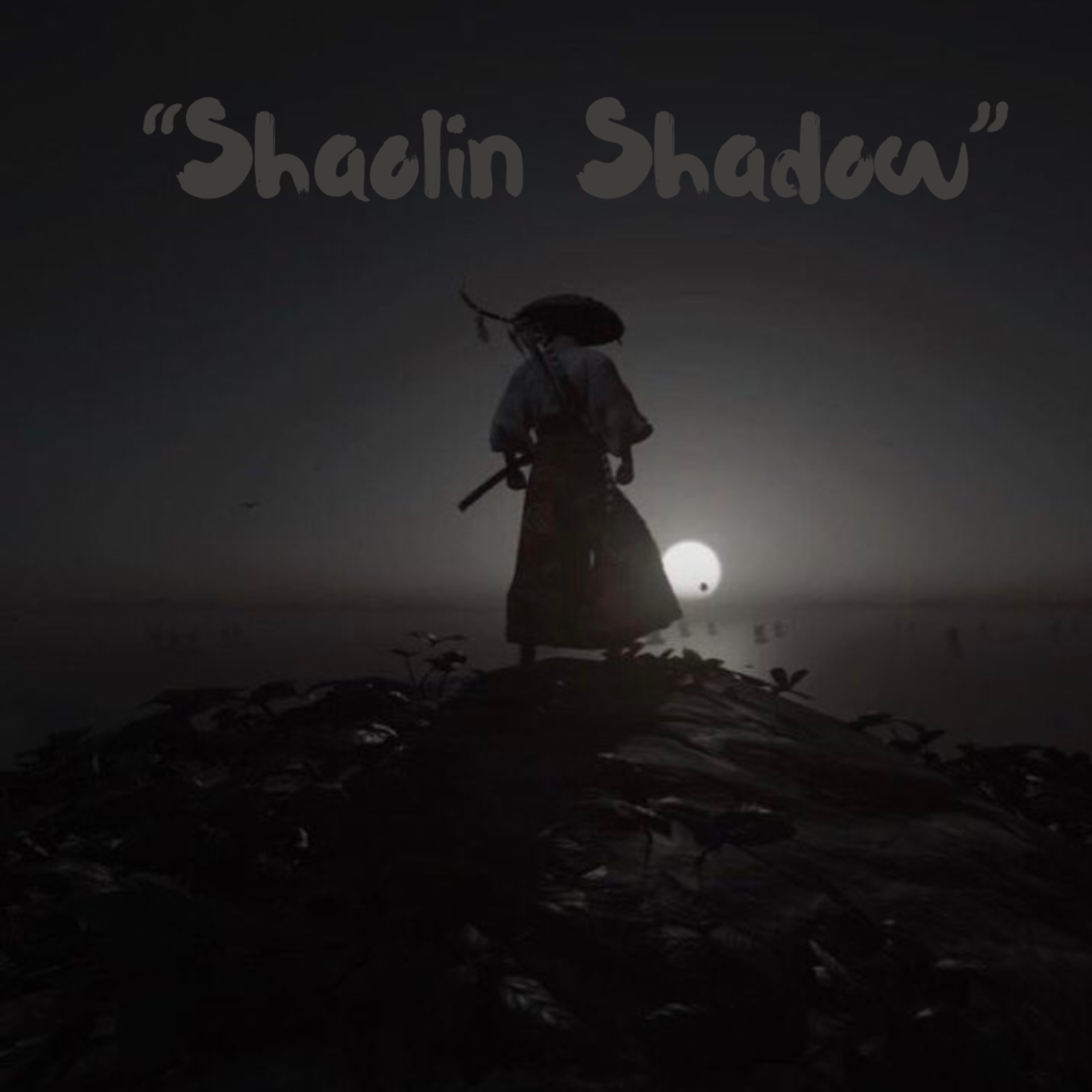 Shaolin Shadow - Drewken
