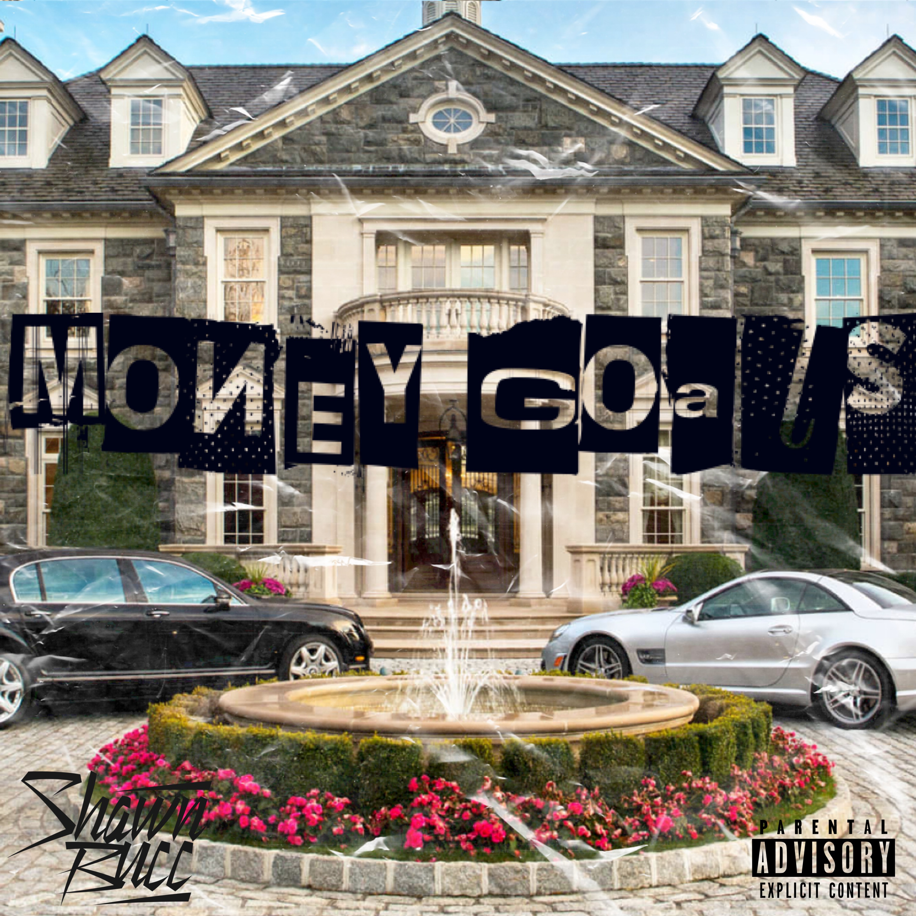 Money Goals - Shawn Bucc