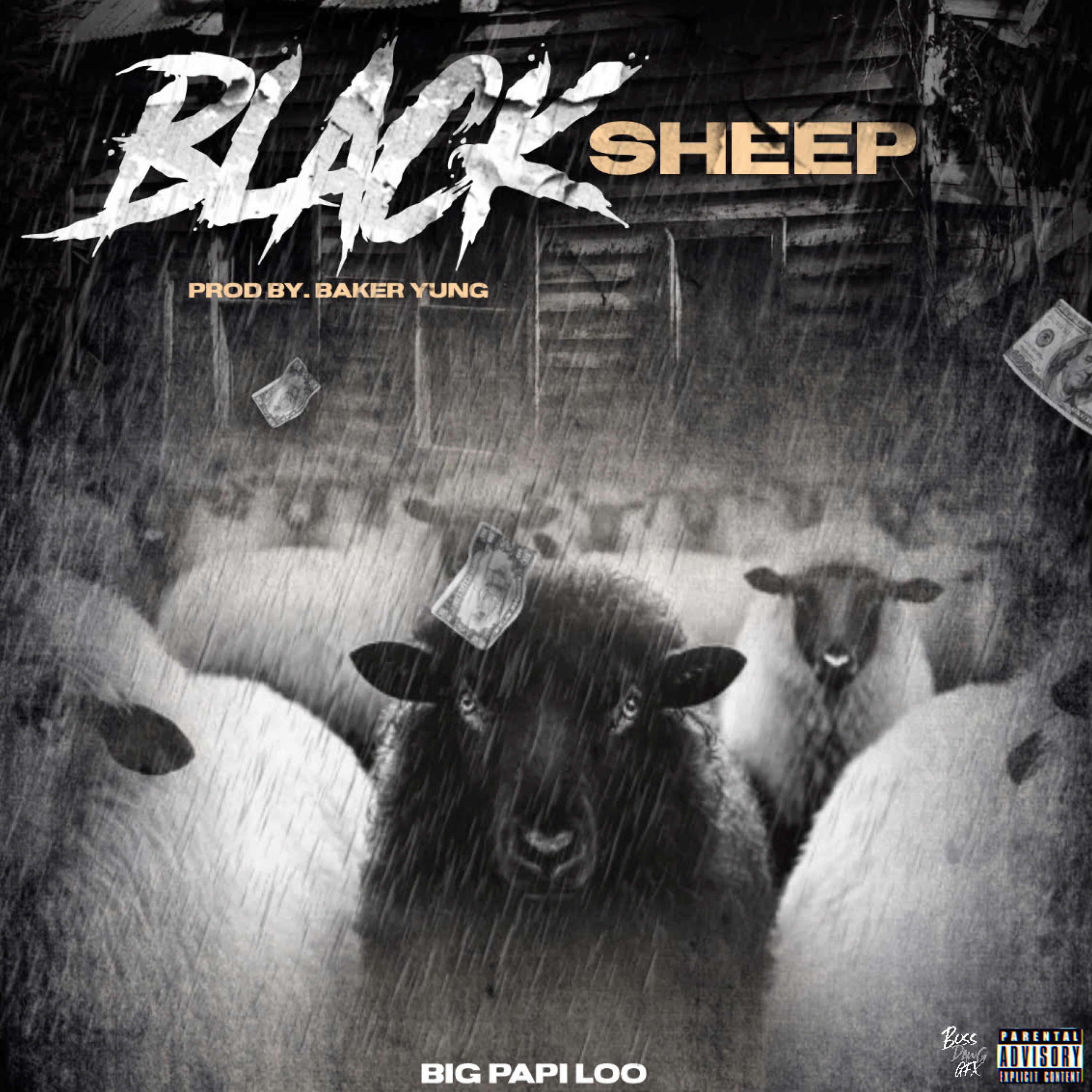 Black Sheep - Big Papi Loo