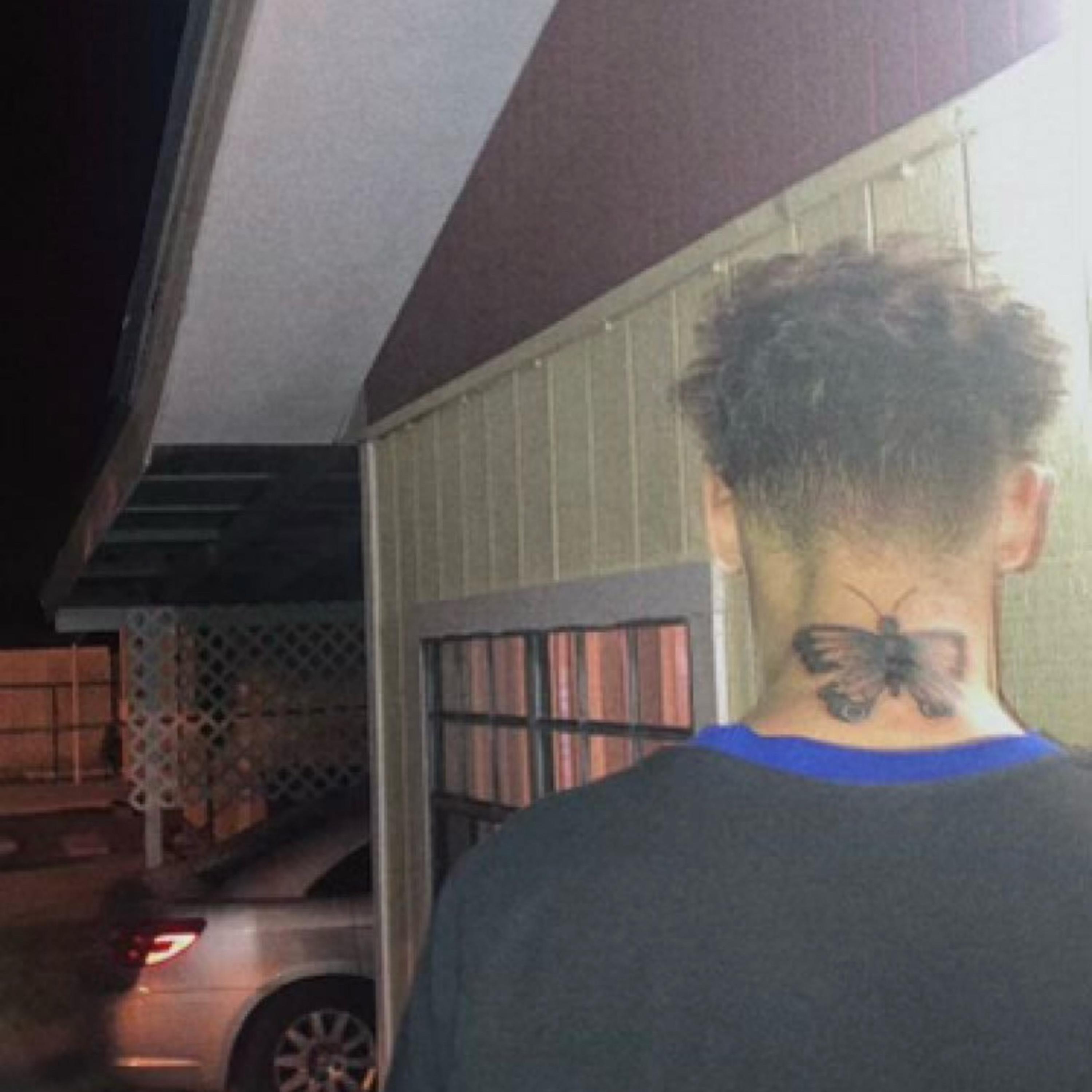 Till Infinity - Langston Williams