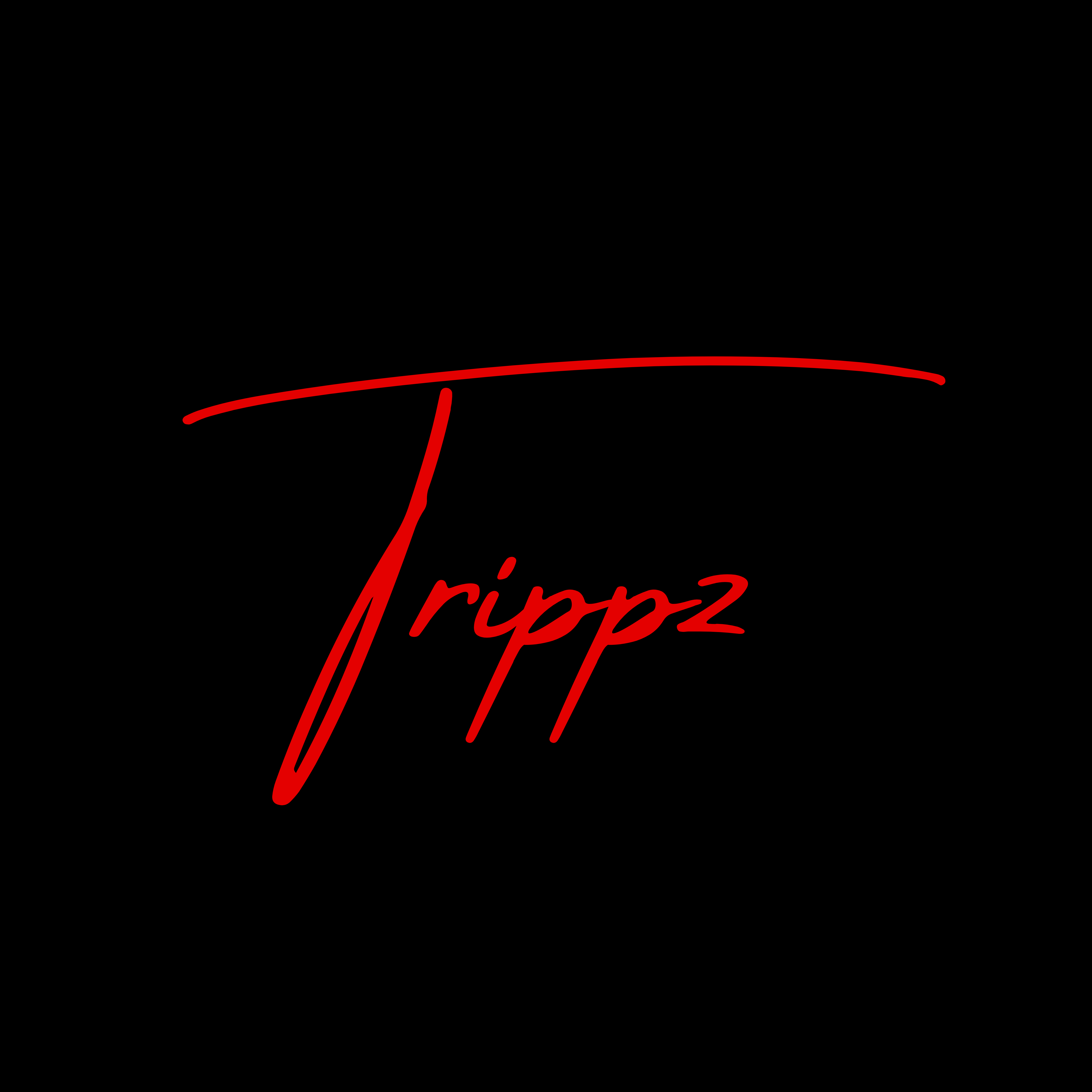 Sunshine In The Darkness - Trippz